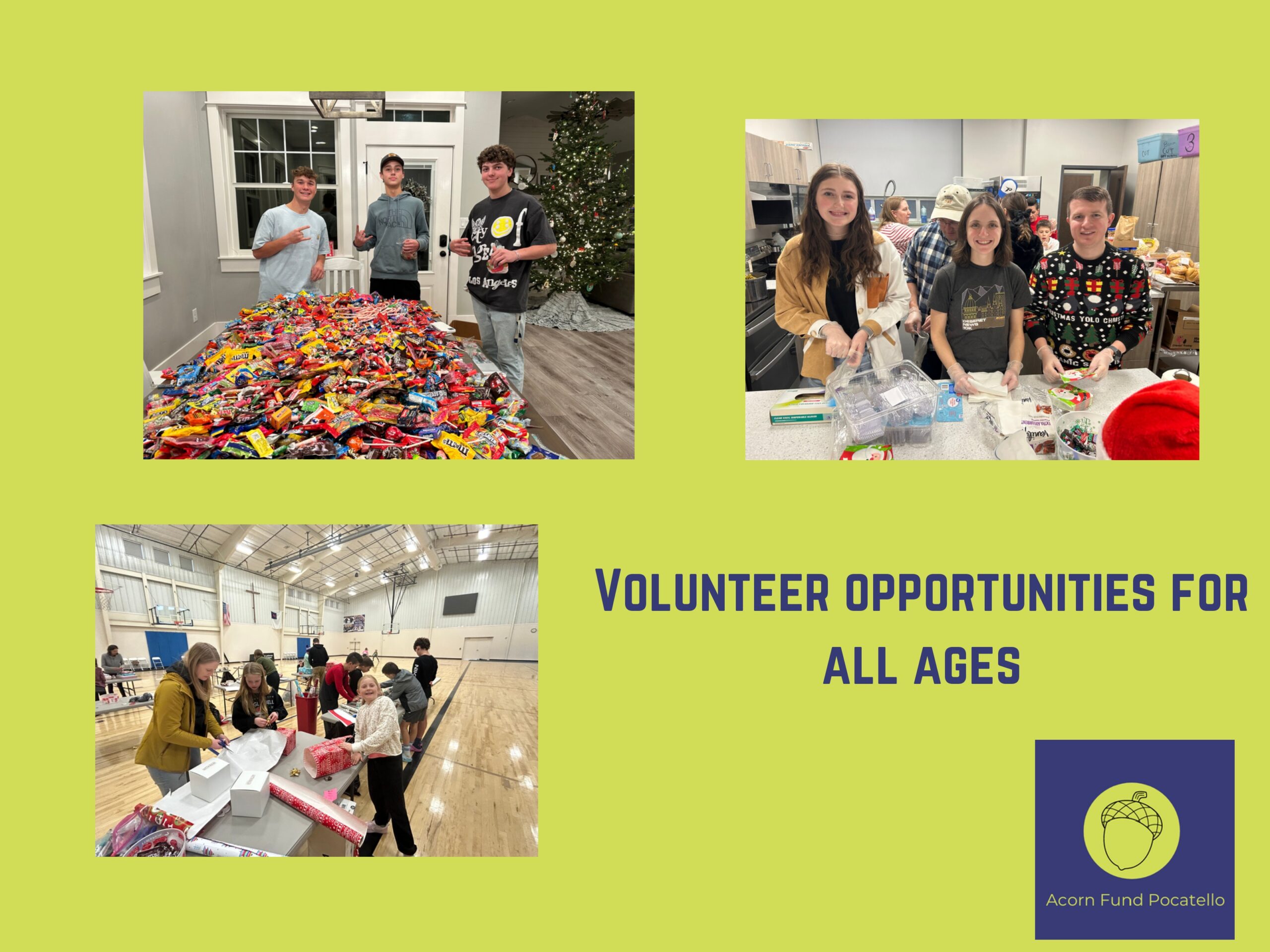 Acorn Fund Pocatello